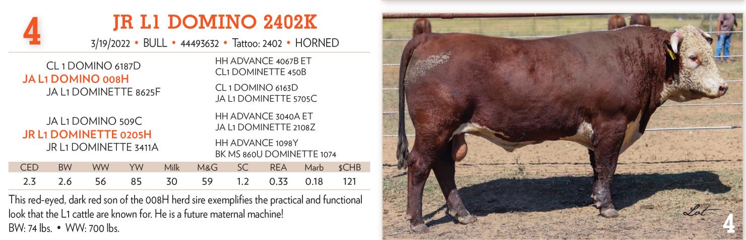 Lot 4: Jamison & Jamison Herefords - Annual Fall Bull & Female Sale ...
