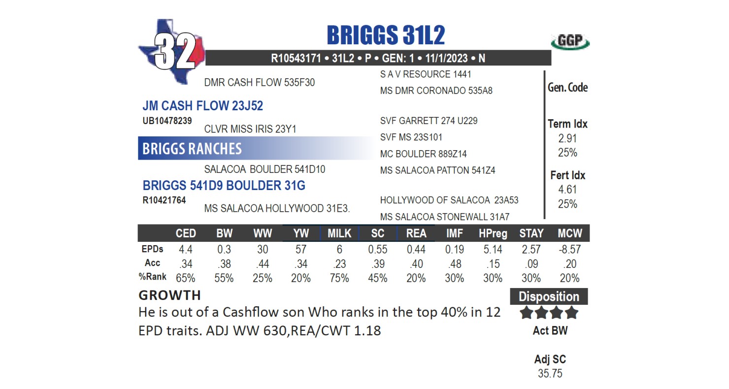 Lot 32: Briggs Ranches - Texas Alliance Sale | DVAuction