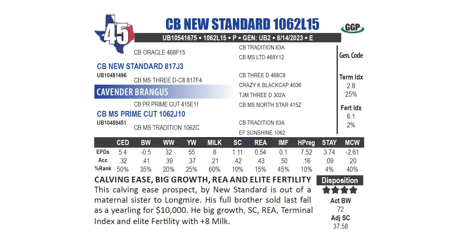 Lot 45: Briggs Ranches - Texas Alliance Sale | DVAuction