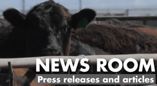 Broadcasting Real-Time Auctions | Angus Auctions