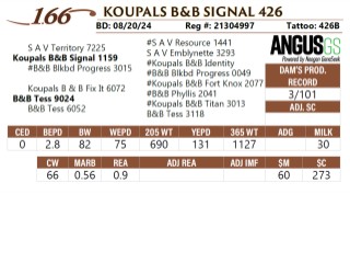 Lot 166: Koupal's B&B Angus Family - 49th Annual Angus Bull Sale ...