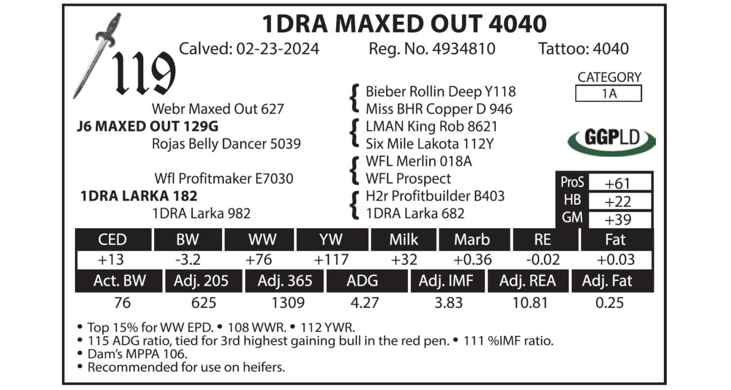 Lot 119: Daigger-Orr Angus - 37th Annual Angus & Red Angus Bull Sale ...