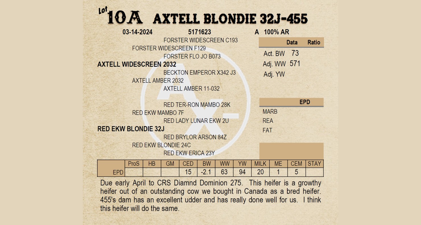 Lot 10 - Choice of AXTELL BLONDIE 32J-455 OR AXTELL DUCHESS 831-401 ...