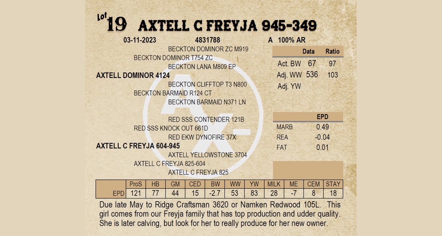 Lot 19 - AXTELL C FREYJA 945-349: Axtell Cattle Company - Red Angus ...