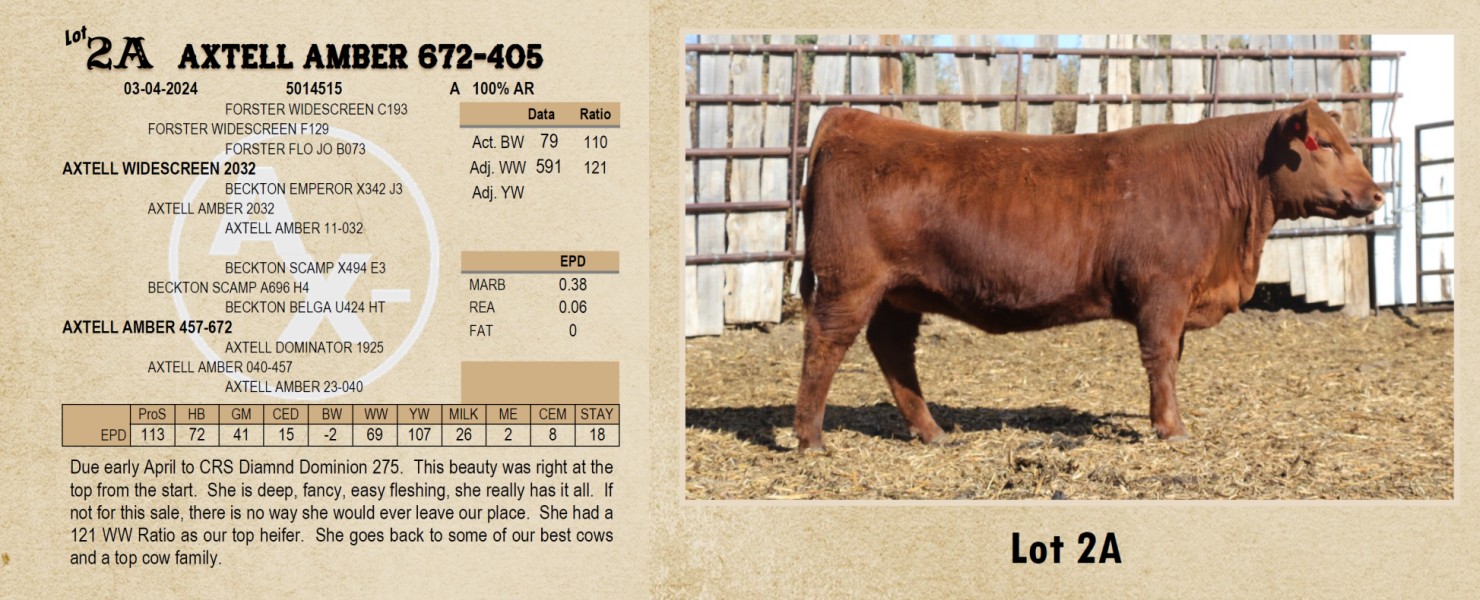 Lot 2 - Choice of AXTELL AMBER 672-405 OR AXTELL LANA 103-435: Axtell ...