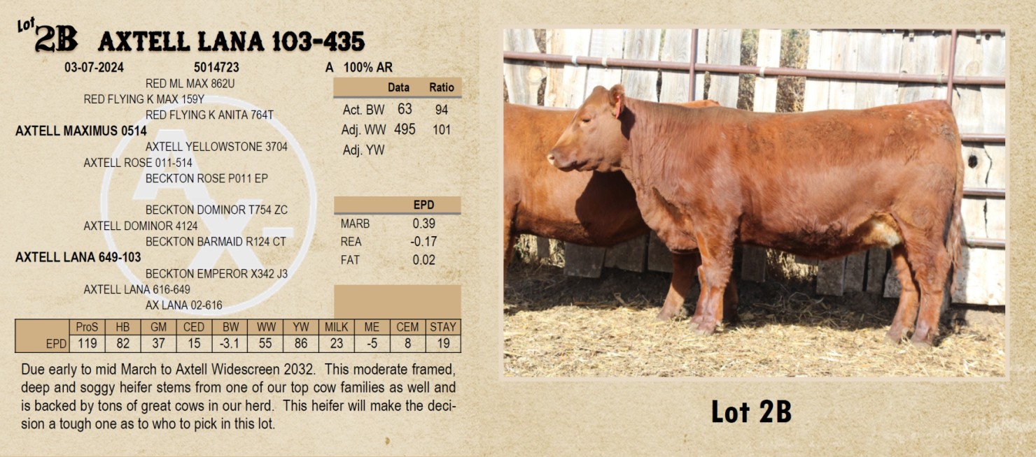 Lot 2 - Choice of AXTELL AMBER 672-405 OR AXTELL LANA 103-435: Axtell ...