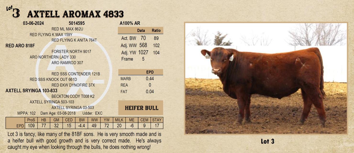 Lot 3: Axtell Cattle Company - Annual Red Angus Production Sale | DVAuction
