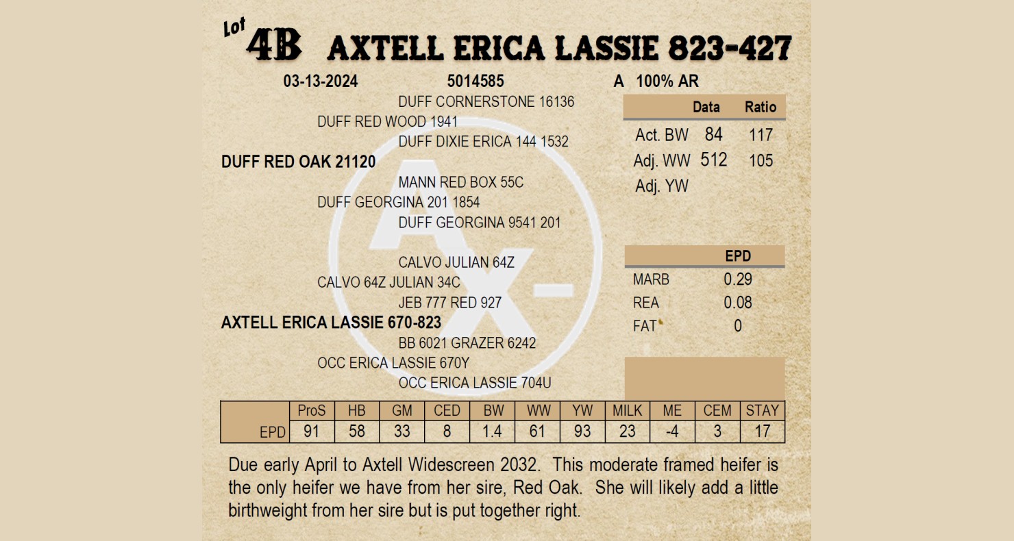 Lot 4 - Choice of AXTELL WSTRN PRD 716-407 OR AXTELL ERICA LASSIE 823 ...