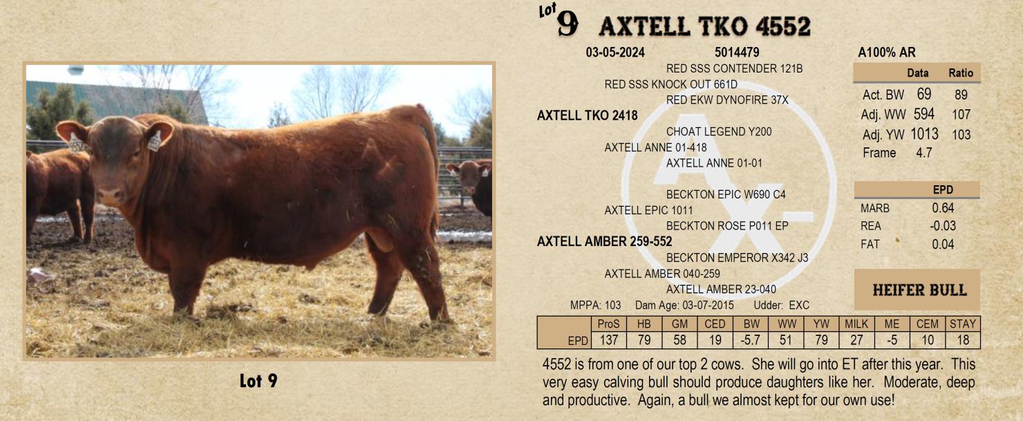 Lot 9: Axtell Cattle Company - Annual Red Angus Production Sale | DVAuction