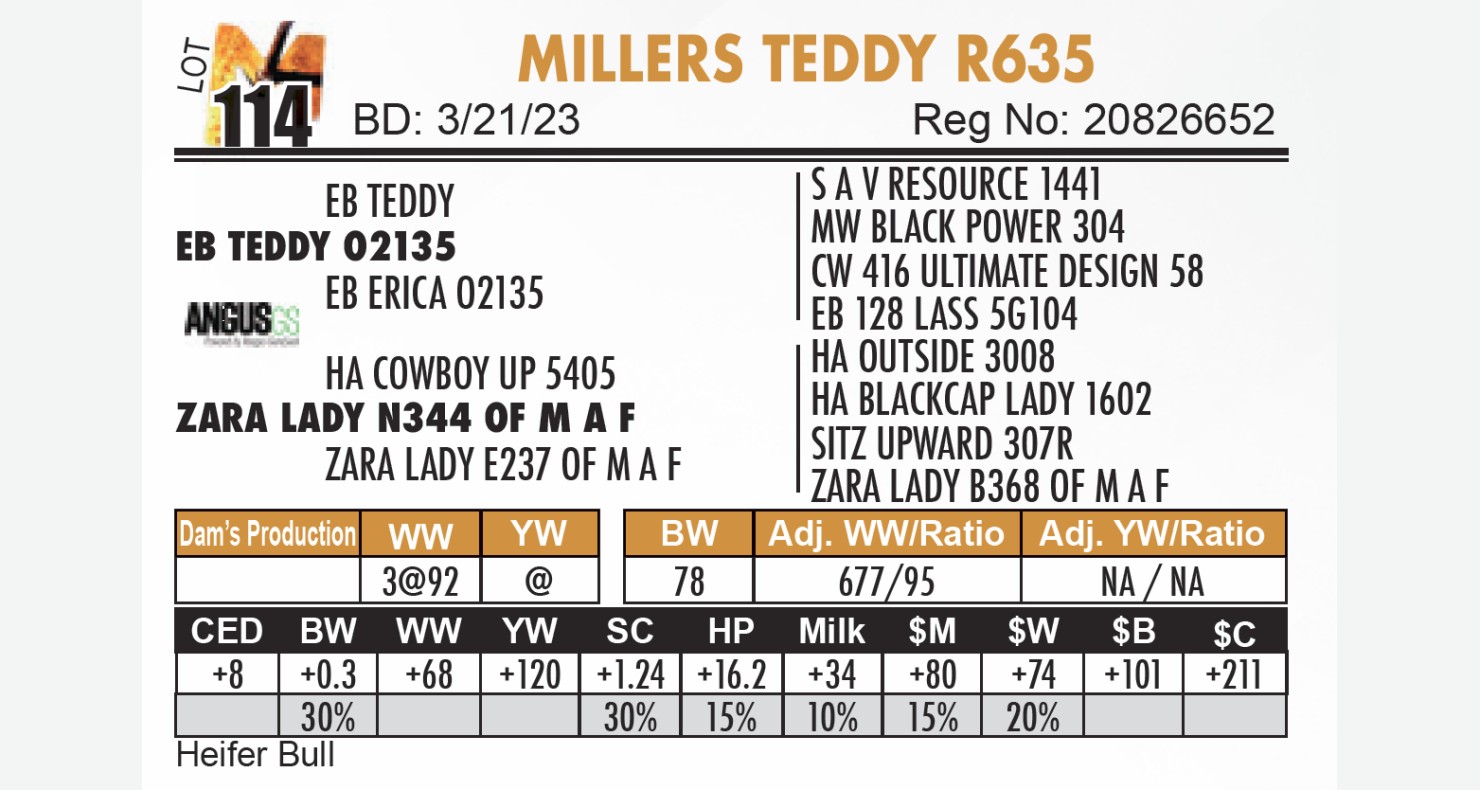 Lot 114: Miller Angus Farms - Top Tier Bull Sale | DVAuction
