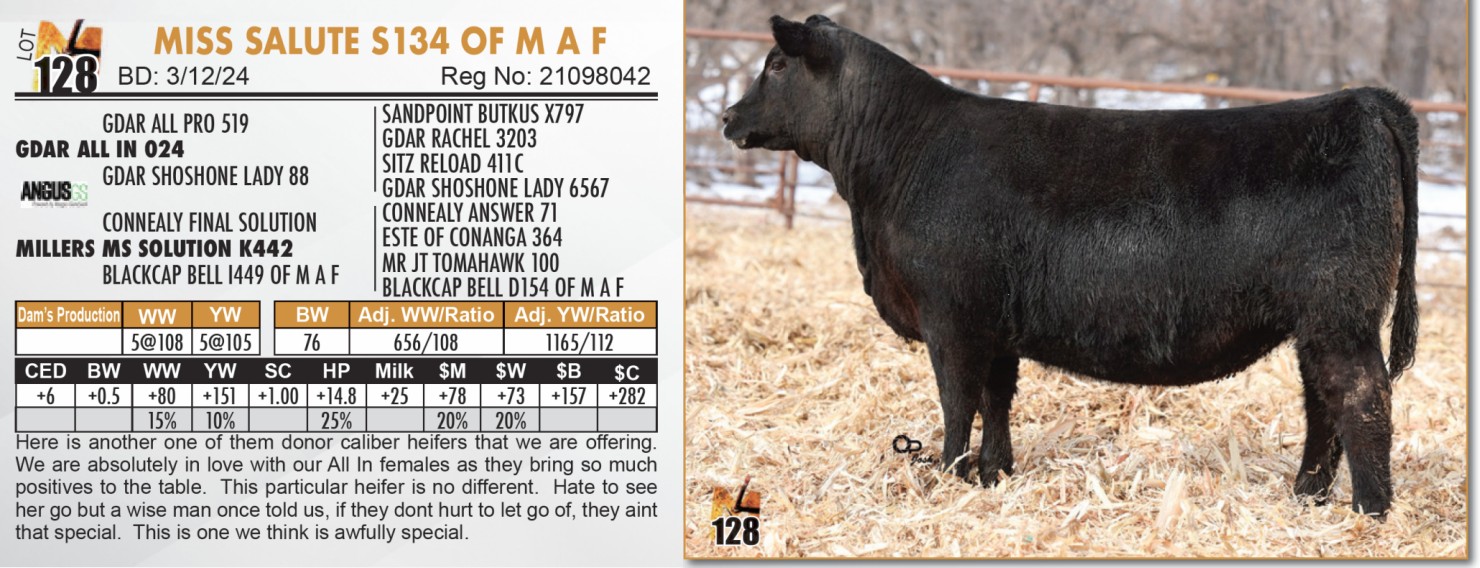 Lot 128: Miller Angus Farms - Top Tier Bull Sale | DVAuction