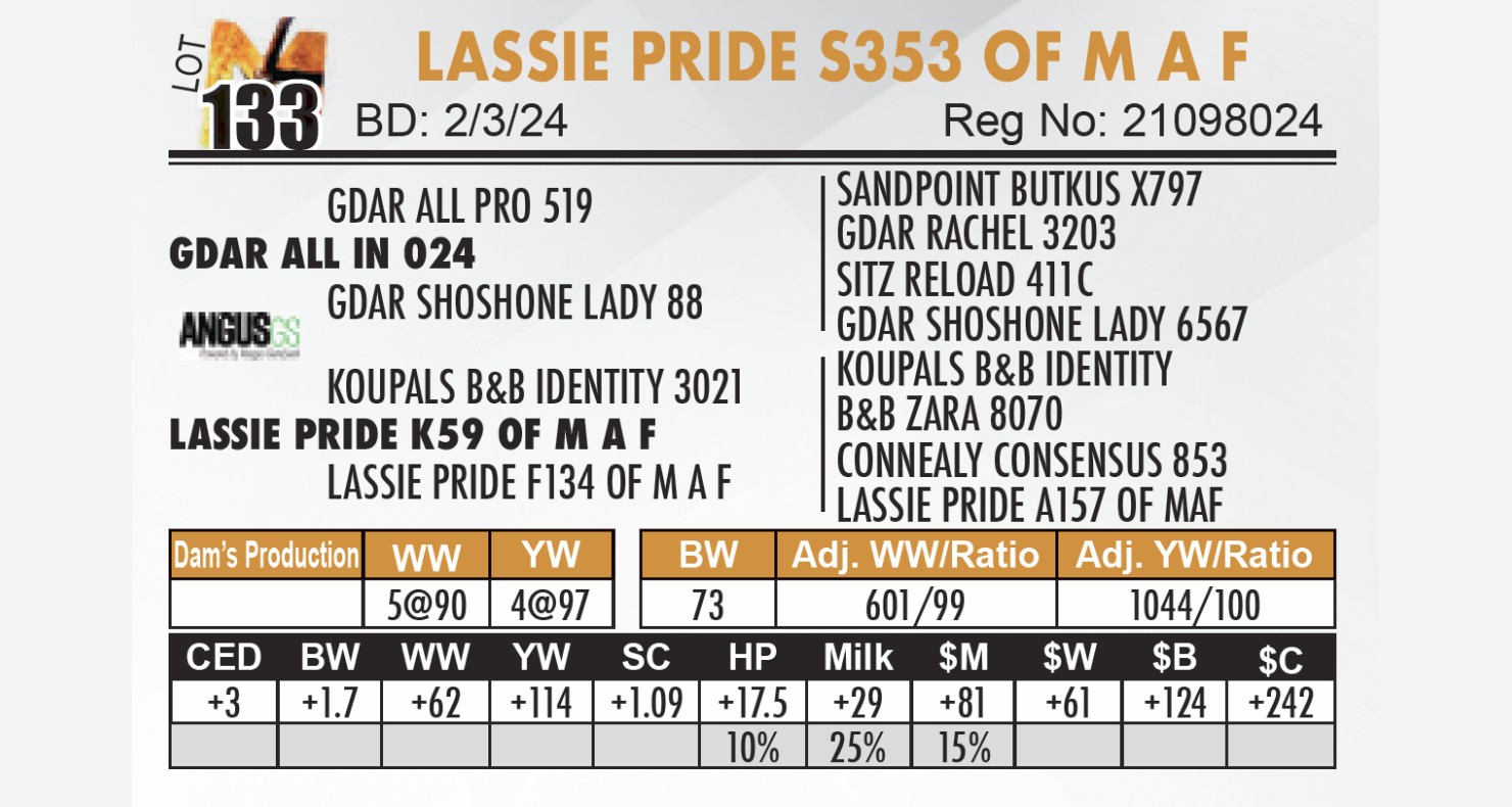 Lot 133: Miller Angus Farms - Top Tier Bull Sale | DVAuction