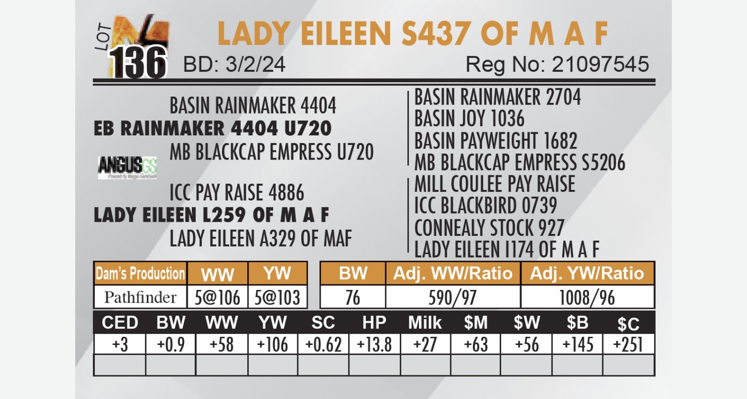 Lot 136: Miller Angus Farms - Top Tier Bull Sale | DVAuction
