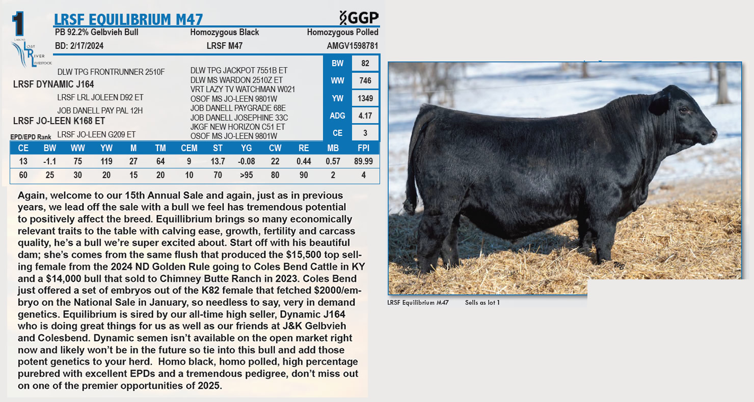 Lot 1: Larson's Lost River Livestock - 15th Annual Production Sale ...