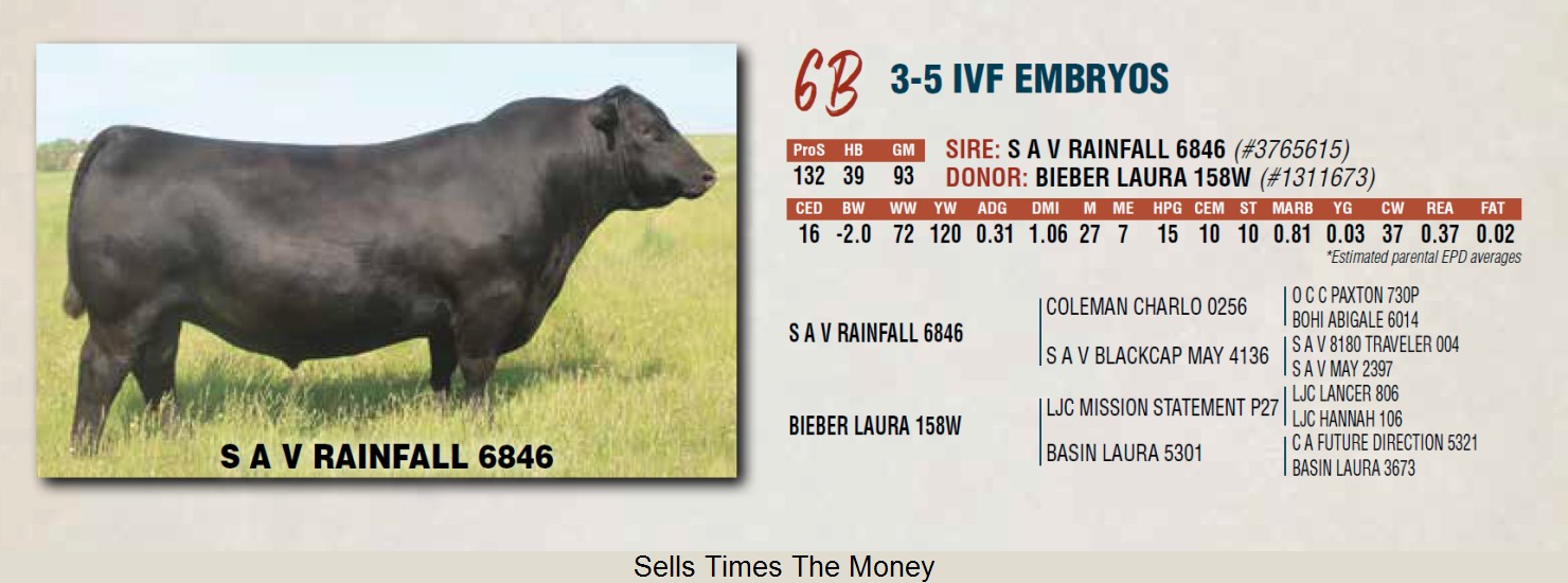 Lot 6B - BIEBER LAURA 158w by SAV RAINFALL: Twedt Red Angus - Online ...