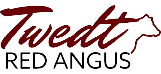 4/12/26 Twedt Red Angus - Frozen Genetics Sale | Twedt Red Angus