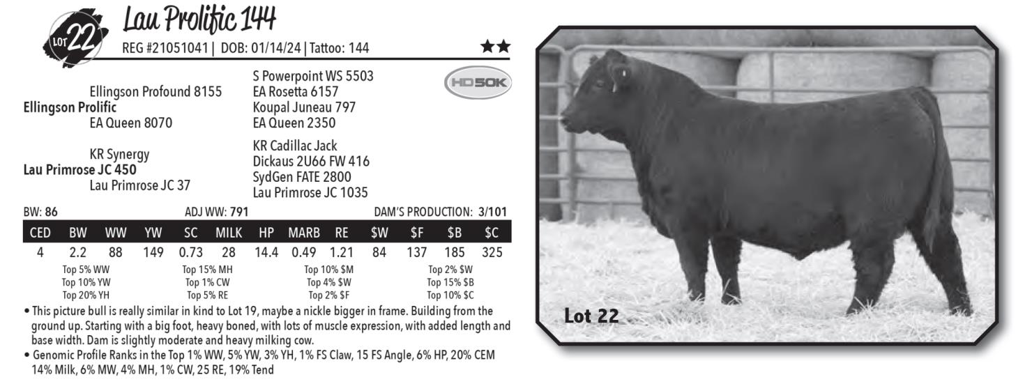 Lot 22: Lau Angus - Annual Angus Bull & Female Sale | DVAuction