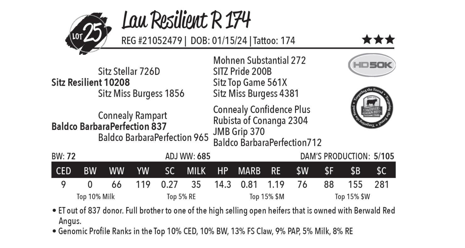 Lot 25: Lau Angus - Annual Angus Bull & Female Sale | DVAuction