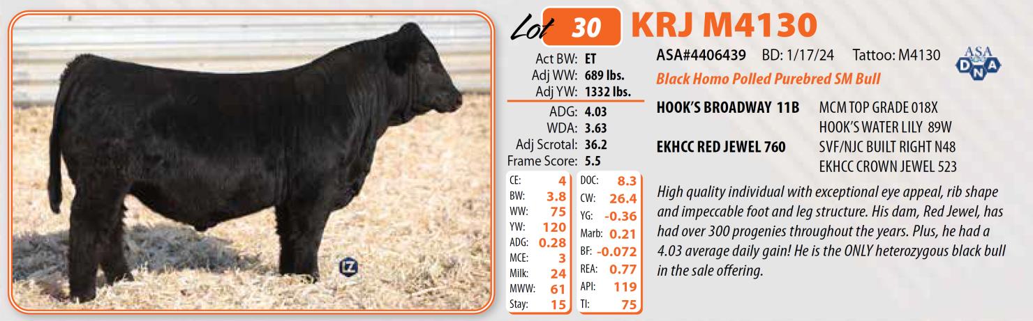 Lot 30: Double J Farms Simmental Cattle - 51st Annual Simmental Bull ...