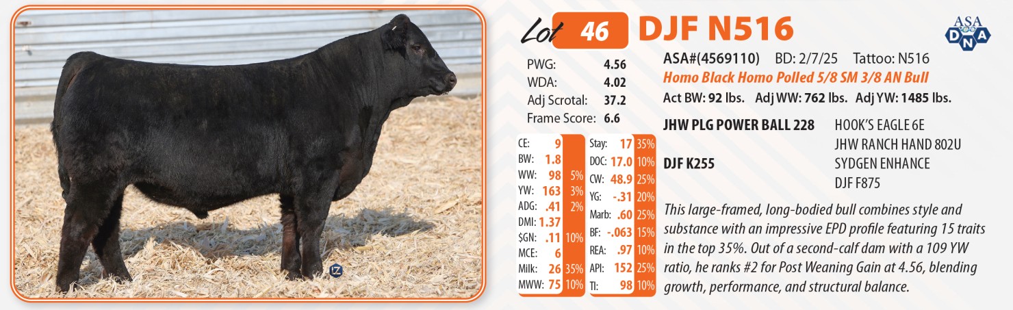 Lot 46: Double J Farms Simmental Cattle - 52nd Annual Simmental Bull ...