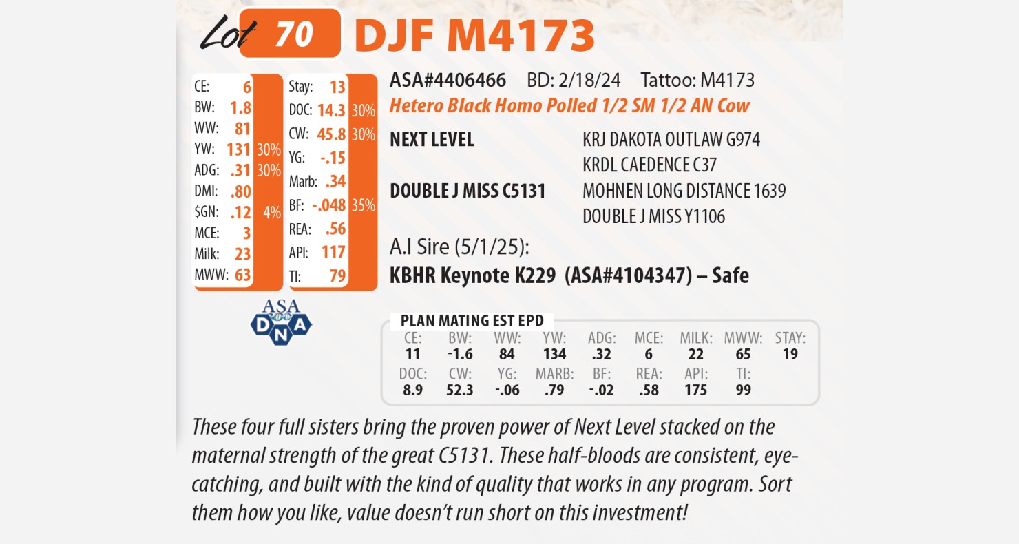 Lot 70: Double J Farms Simmental Cattle - 52nd Annual Simmental Bull ...