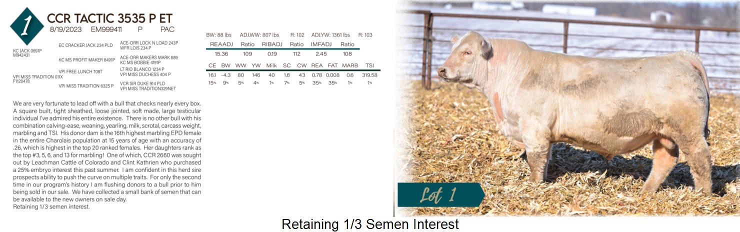 Lot 1: Cannon Charolais Ranch - 12th Annual Bull Sale | DVAuction