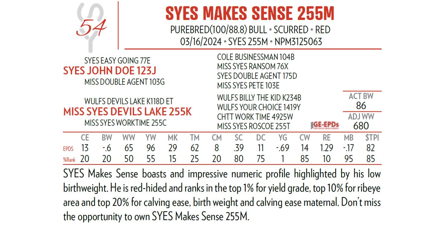 Lot 54: Symens Brothers Limousin - 45th Annual Limousin Bull & Female ...