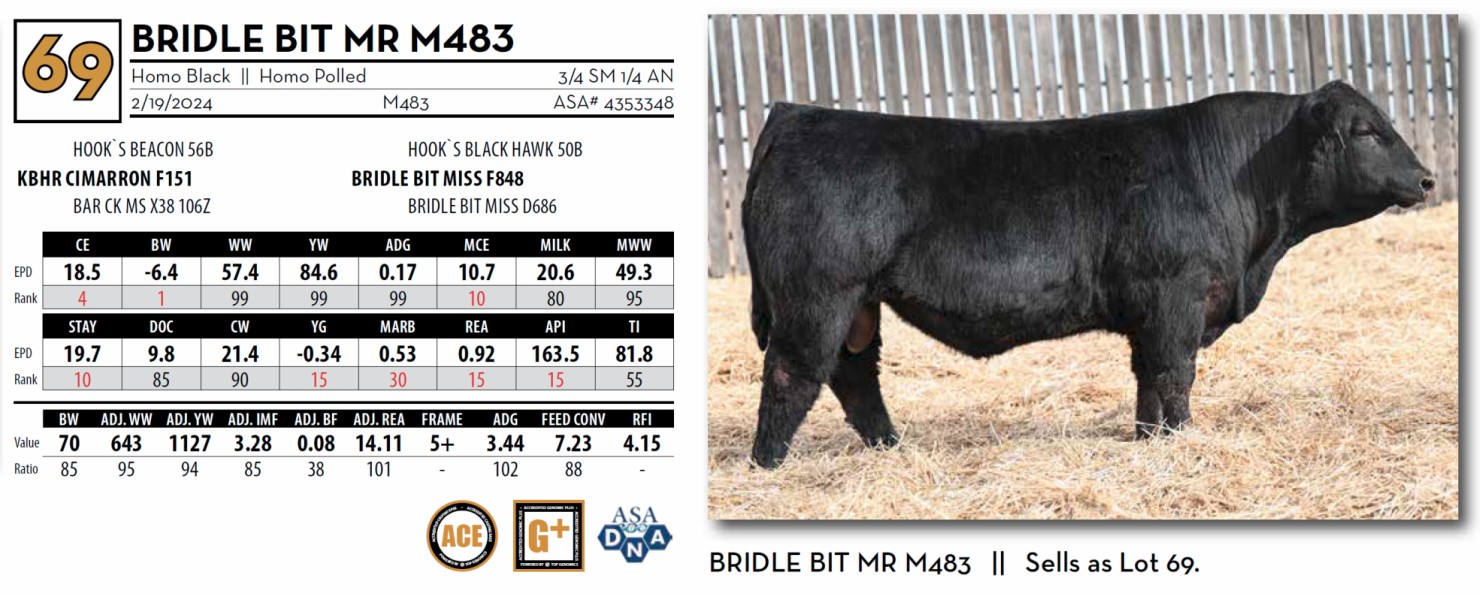 Lot 69: Bridle Bit Simmentals - All Terrain Bull Sale | DVAuction