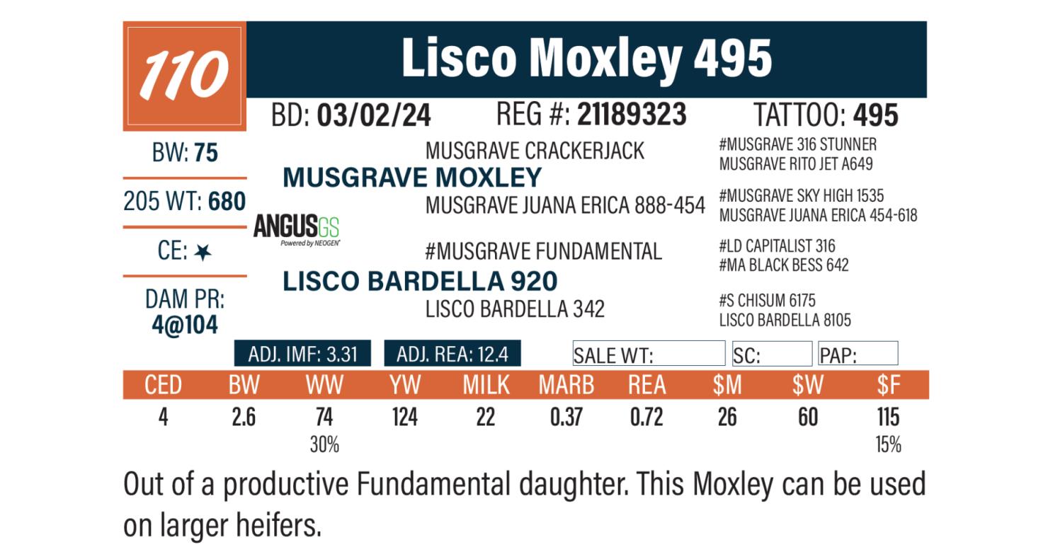 Lot 110: Lisco Angus - M Diamond Angus - Annual Production Sale | DVAuction