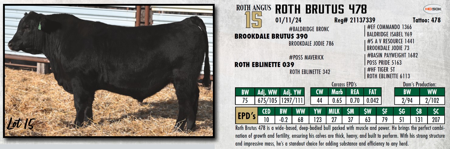 Lot 15: Roth Angus Ranch - 27th Annual Angus Bull Sale | DVAuction