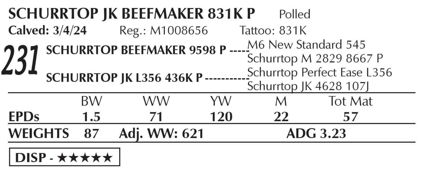 Lot 231: Schurrtop Ranch - Spring Angus & Charolais Bull Sale | DVAuction
