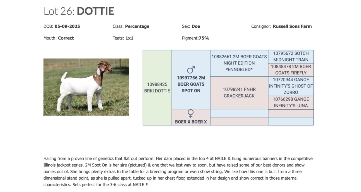 Lot 26: Pride of Minnesota Boer Goat Sale - Annual Boer Goat Sale ...