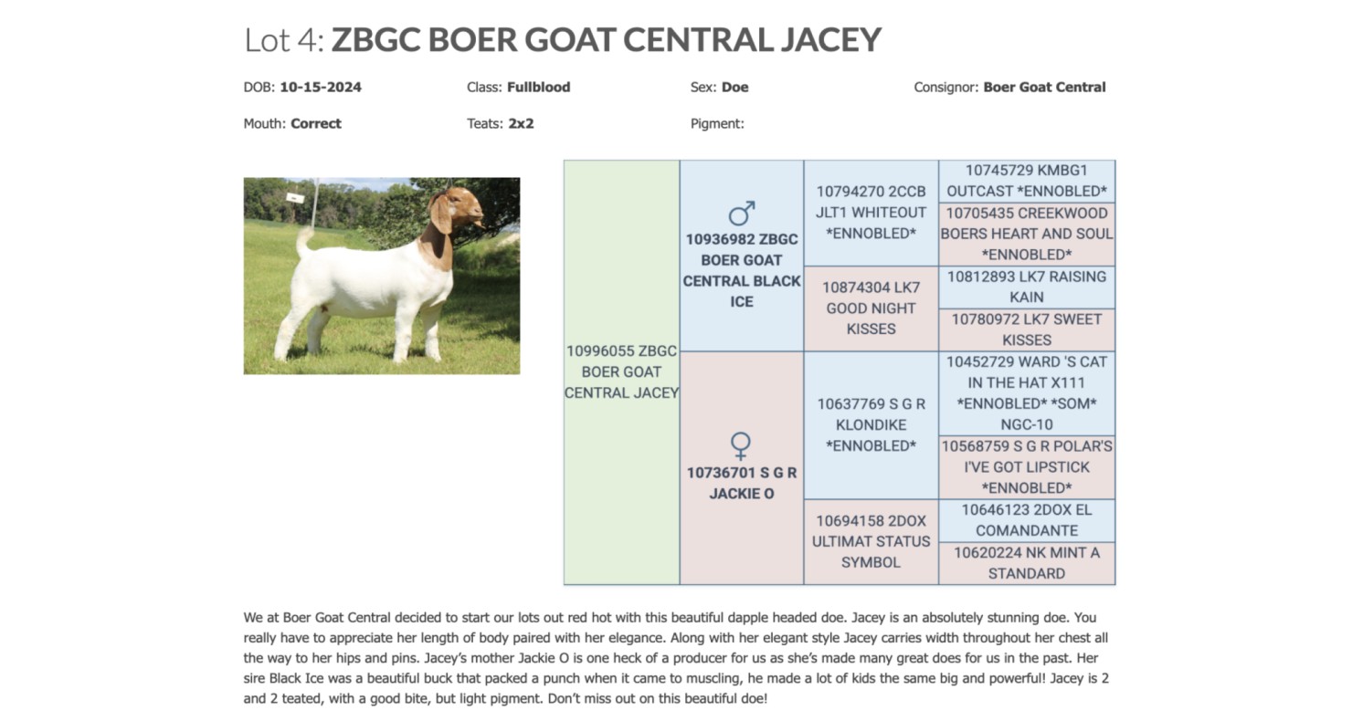 Lot 4: Pride of Minnesota Boer Goat Sale - Annual Boer Goat Sale ...