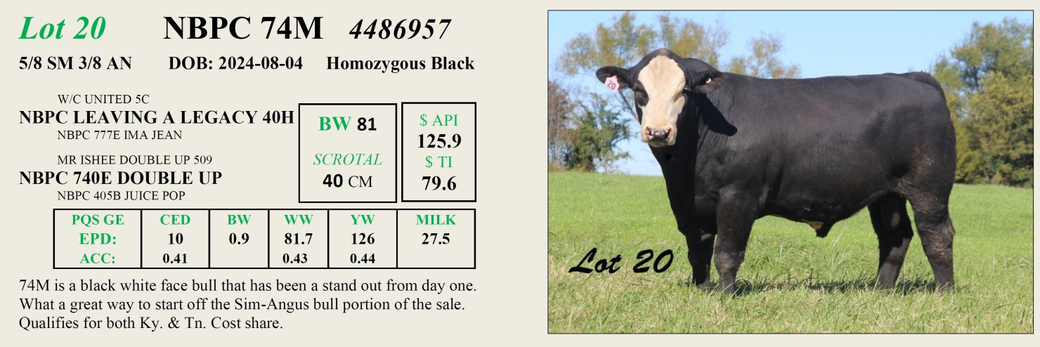 Lot 20: Breeding For The Future Bull and Female Sale - Nolan & Bagby/Bar-3 Angus | DVAuction