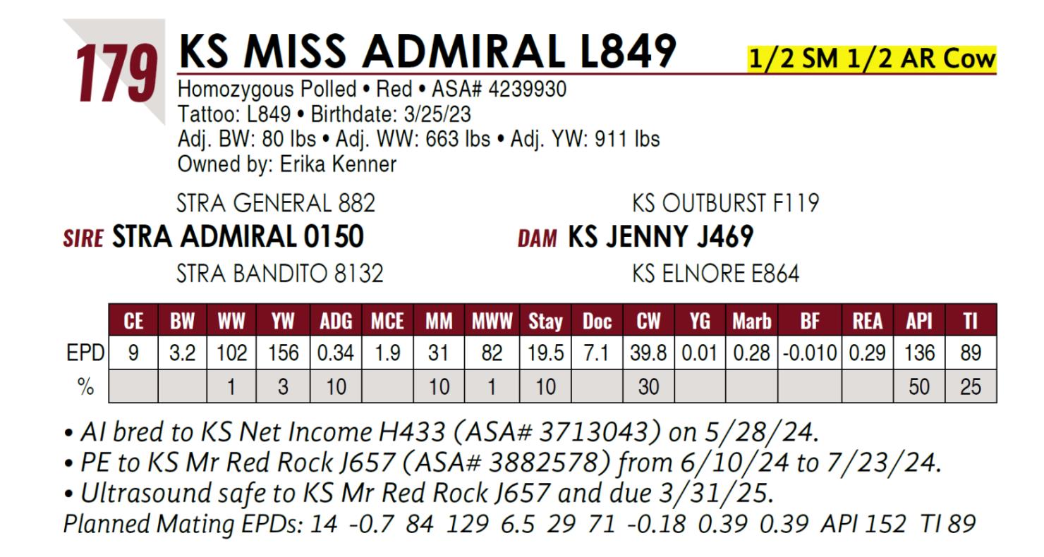 Lot 179: Kenner Simmentals - 29th Annual Simmental Bull & Female Sale ...