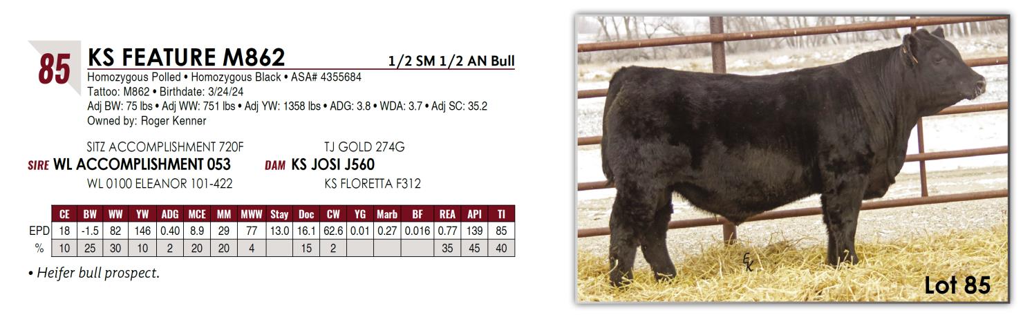 Lot 85: Kenner Simmentals - 29th Annual Simmental Bull & Female Sale ...