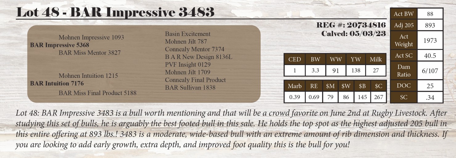 Lot 48: Bruner Angus Ranch - Annual Turnout Angus Bull Sale | DVAuction