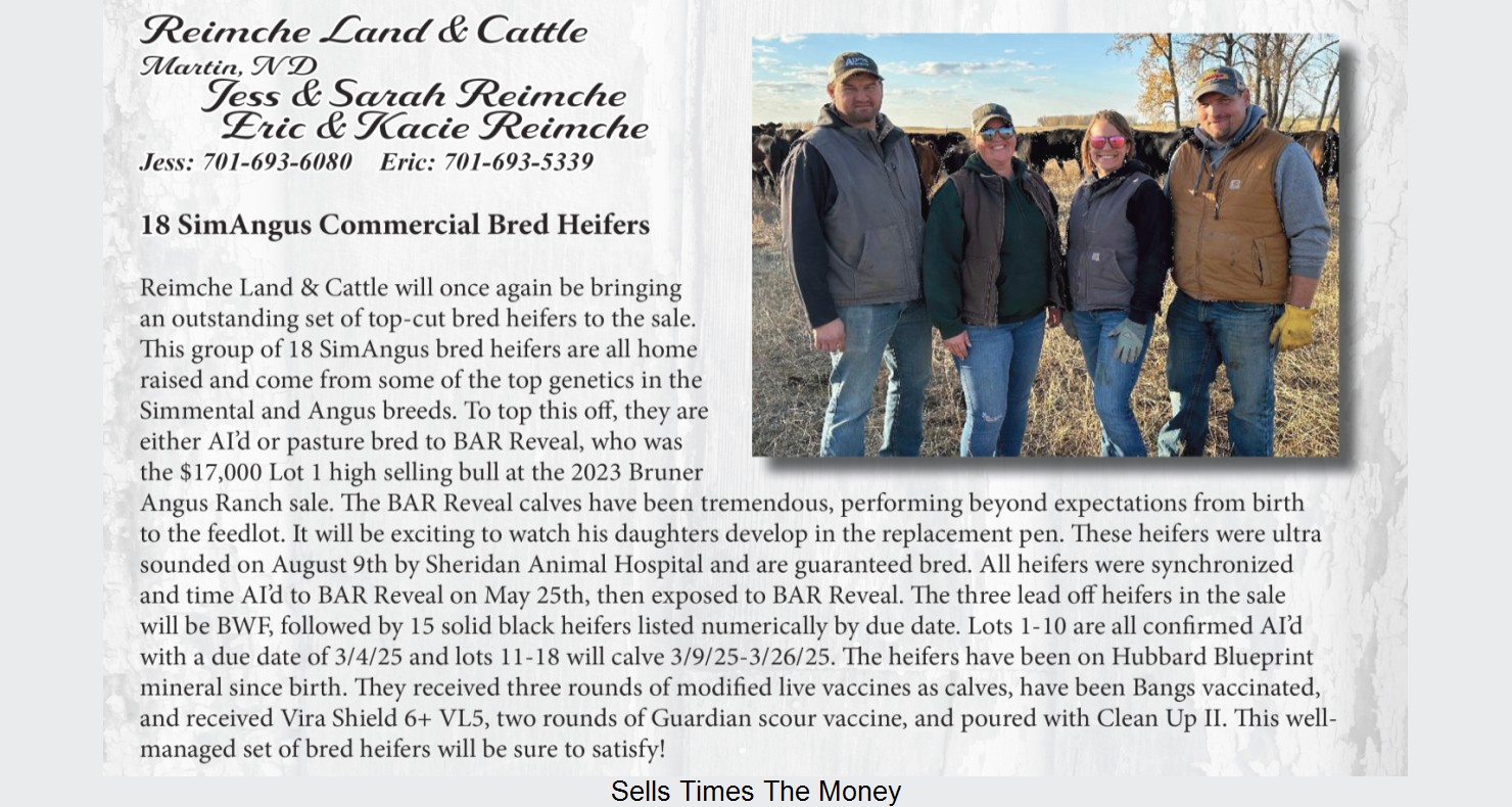 Lot reimche1: Bruner Angus Ranch - Annual Angus Bull Sale | DVAuction