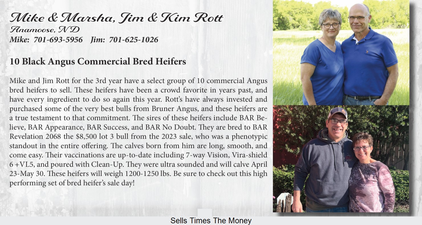 Lot rott1: Bruner Angus Ranch - Annual Angus Bull Sale | DVAuction