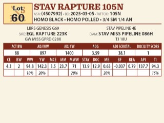 Lot 60 - STAV RAPTURE 105N: Stavick Simmentals - Annual "King of the ...