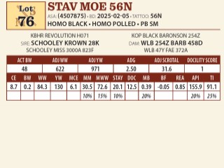 Lot 76 - STAV KROWN 56N: Stavick Simmentals - Annual "King of the Range ...