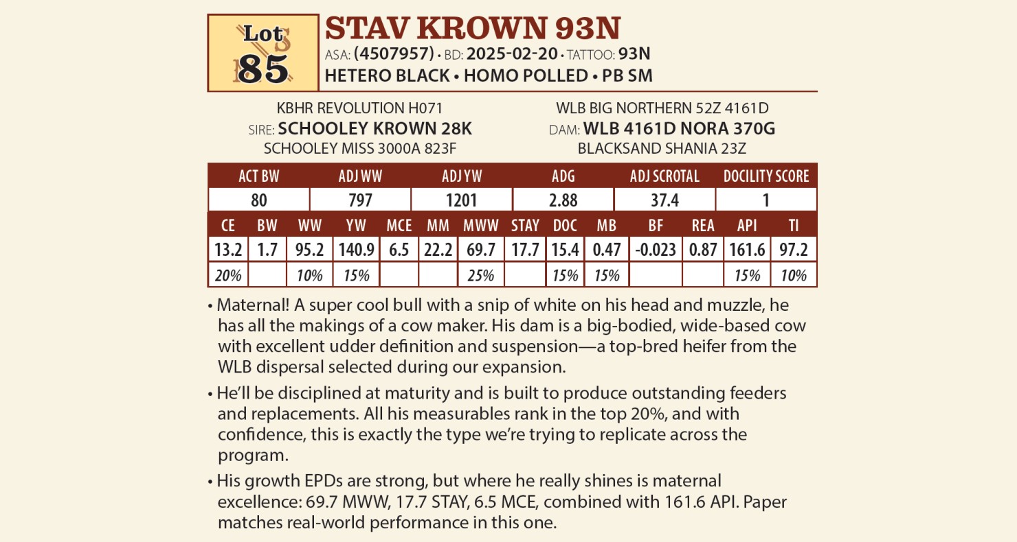 Lot 85 - STAV KROWN 93N: Stavick Simmentals - Annual "King of the Range ...