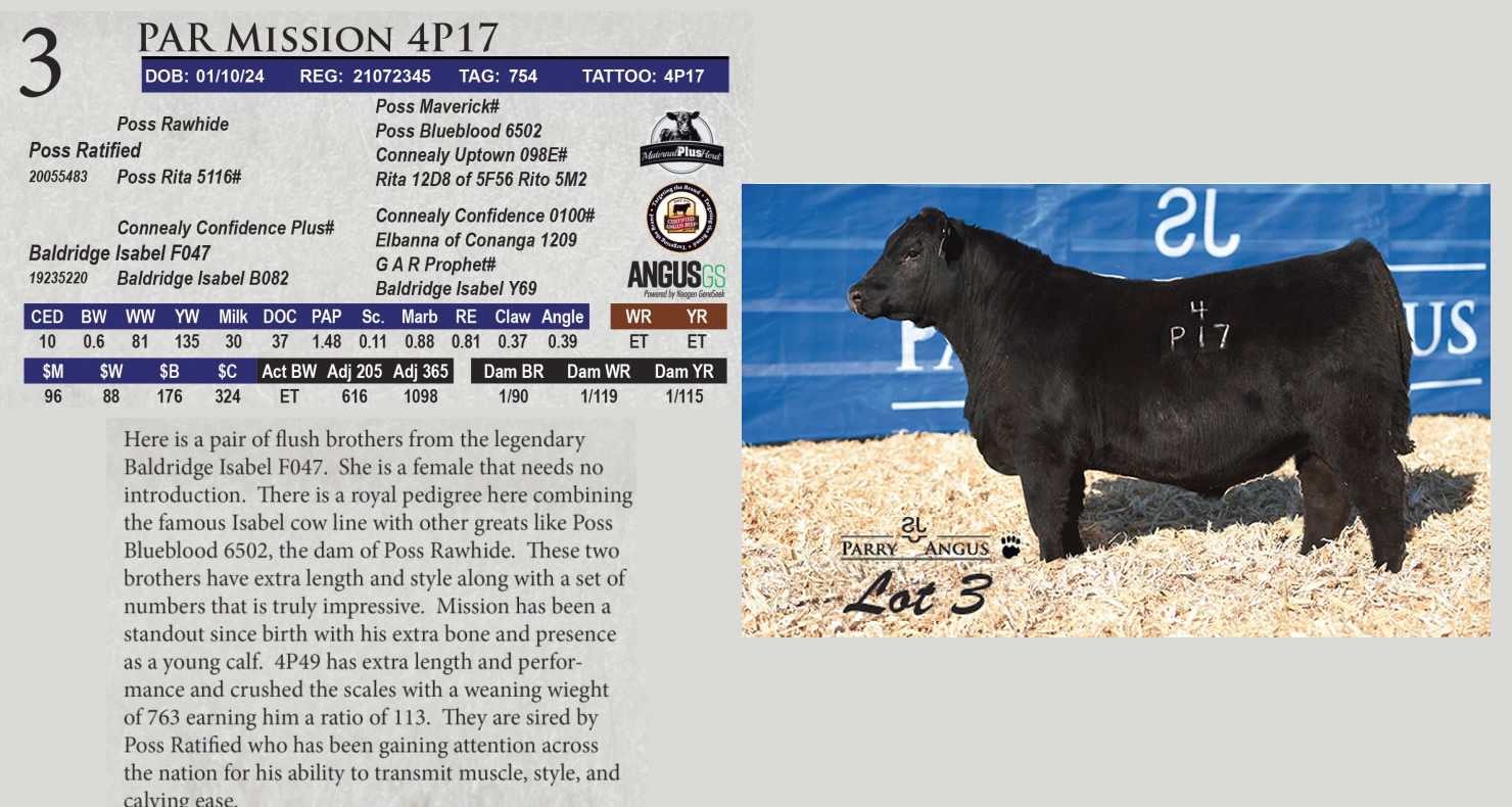 Lot 3: Parry Angus - Annual Production Sale | DVAuction
