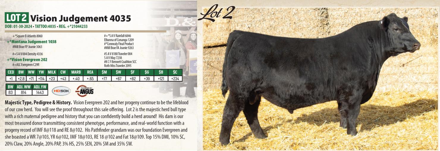 Lot 2: Vision Angus - 27th Annual Sale | DVAuction