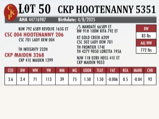 Lot 50: Pelton Polled Herefords - Cattleman's Choice Sale | DVAuction