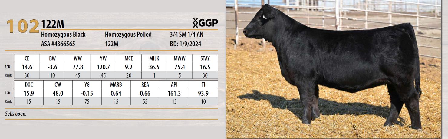 Lot 102: Triangle J Ranch - Harvest Select Female Sale | DVAuction