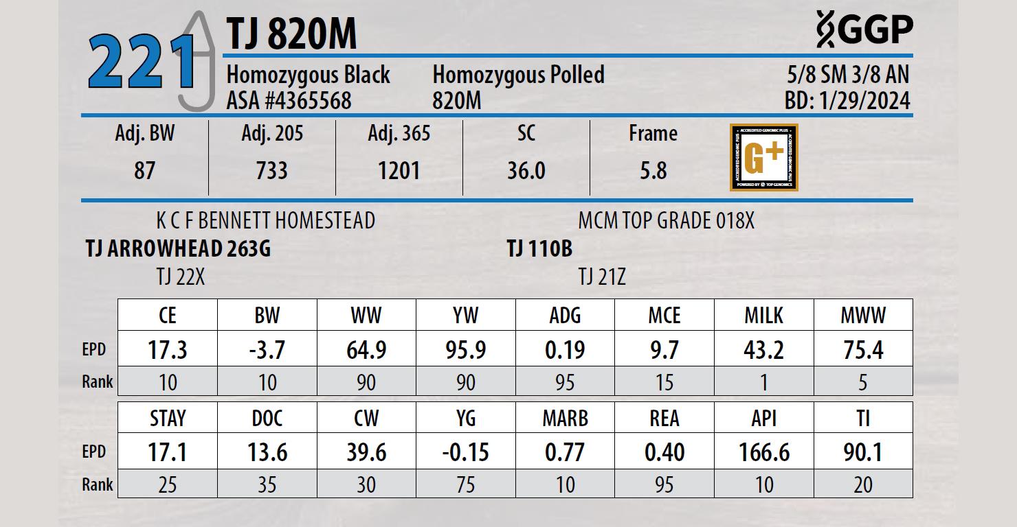 Lot 221: Triangle J Ranch - 35th Annual Bull Sale | DVAuction