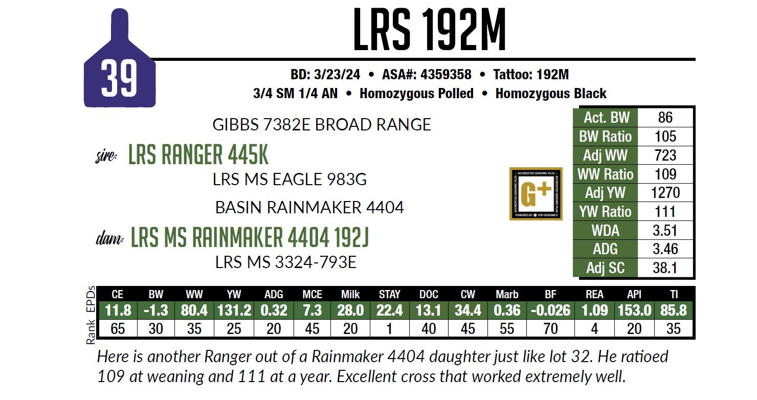 Lot 39: Lassle Ranch Simmentals - Annual Bull Sale | DVAuction
