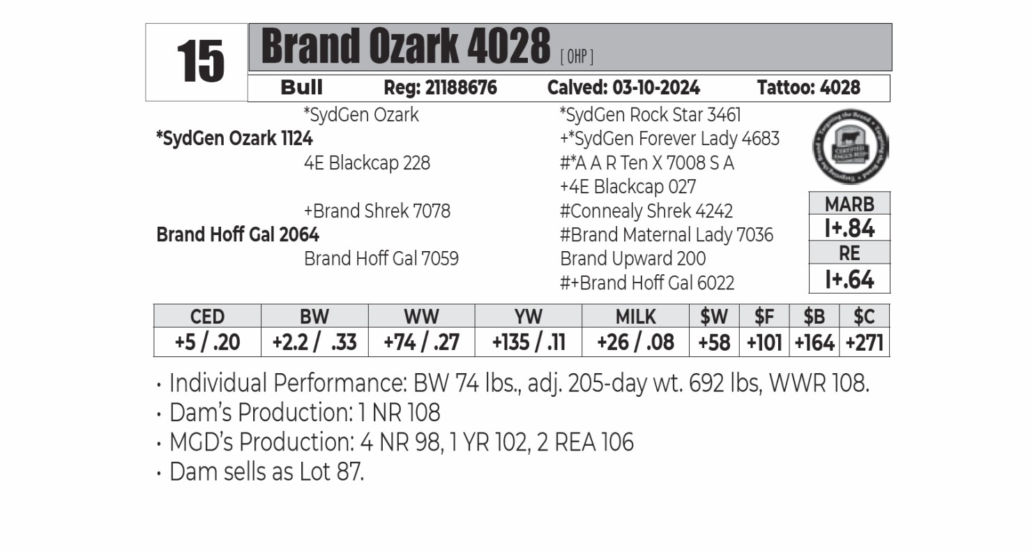 Lot 15: Brand Angus - Angus Bull & Female Dispersion Sale | DVAuction
