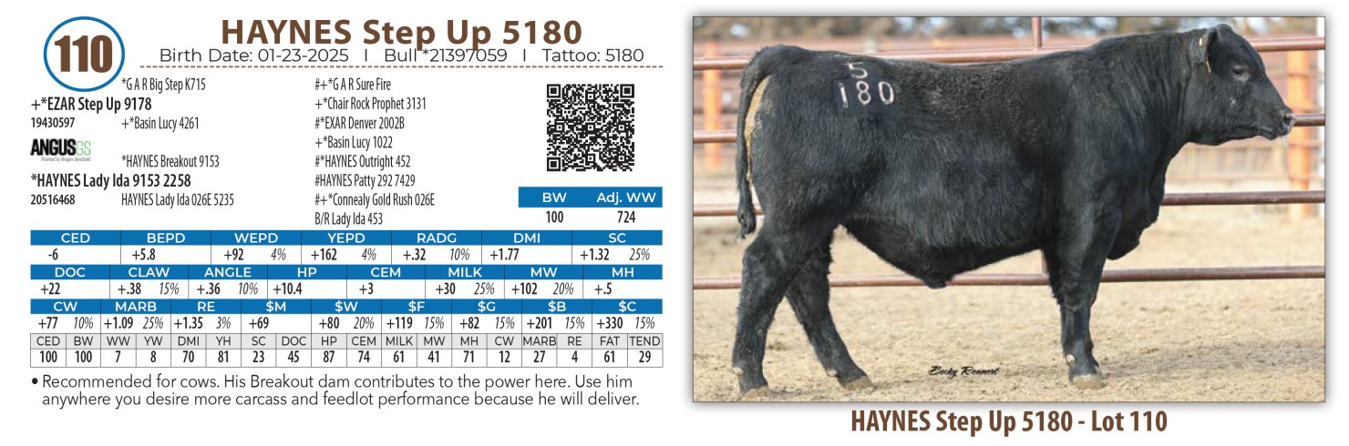 Lot 110: Haynes Cattle Co - 18th Annual “Working Bull” Angus Sale ...